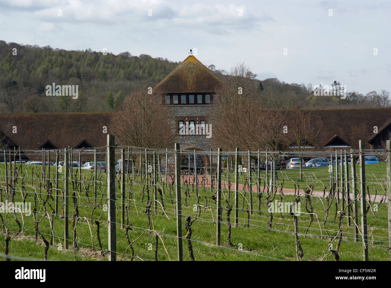 View over the vines towards the Visitor Centre at Denbies Wine Estate ...