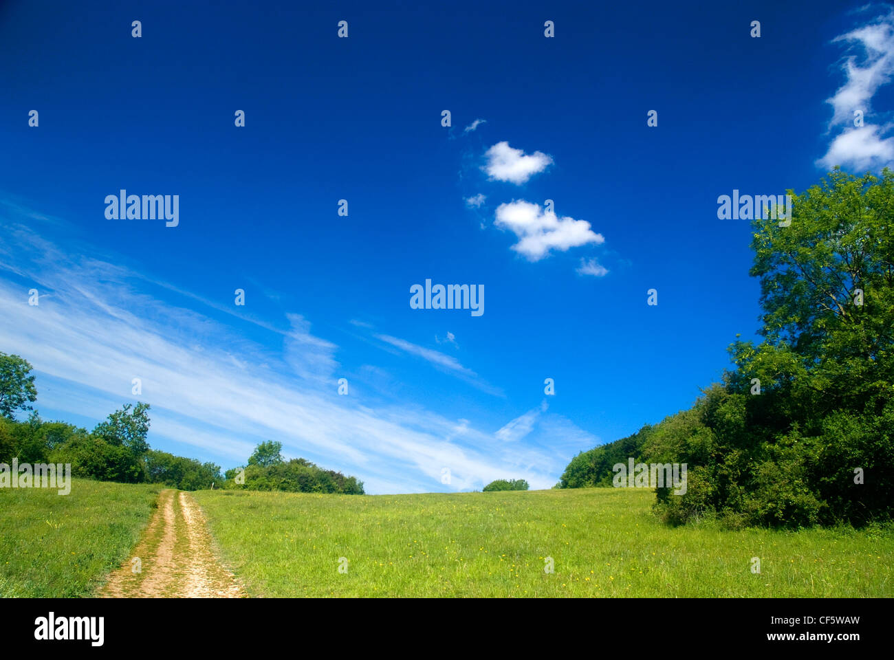 A farm track running across a field near Albury Downs Stock Photo - Alamy