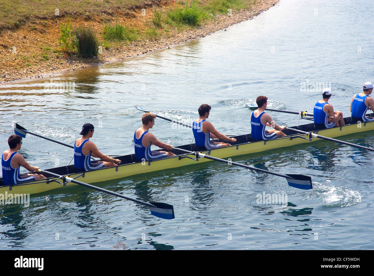 Crew race rowing hi-res stock photography and images - Alamy