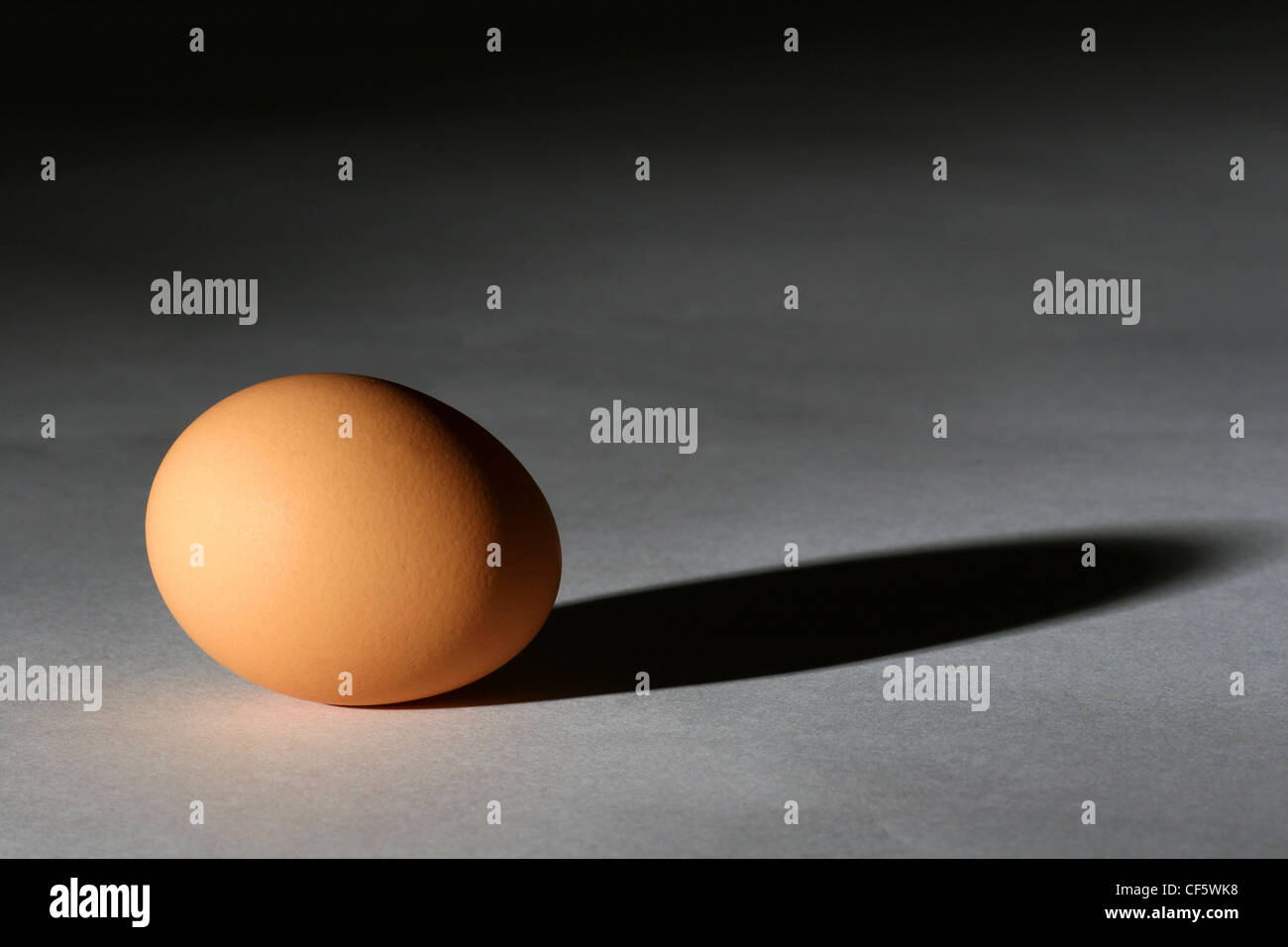Single egg hi-res stock photography and images - Alamy