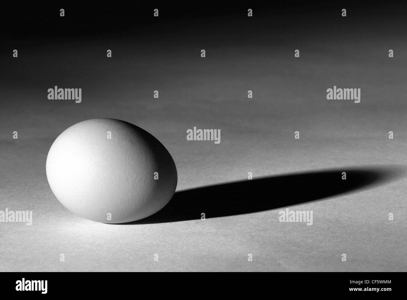 A single egg Stock Photo - Alamy