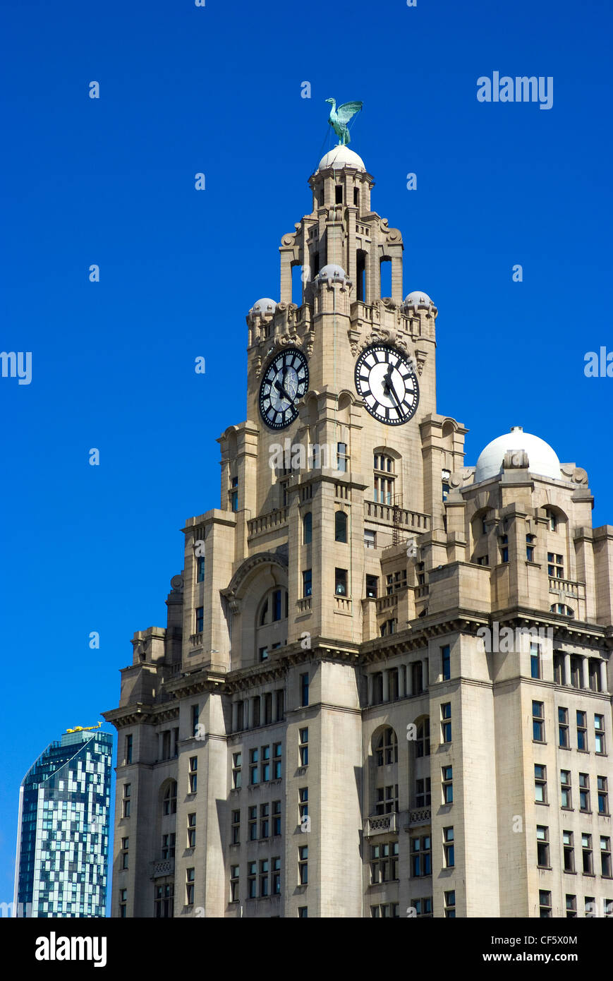 A Liver bird on top of a clock tower of the Royal Liver Building on the ...