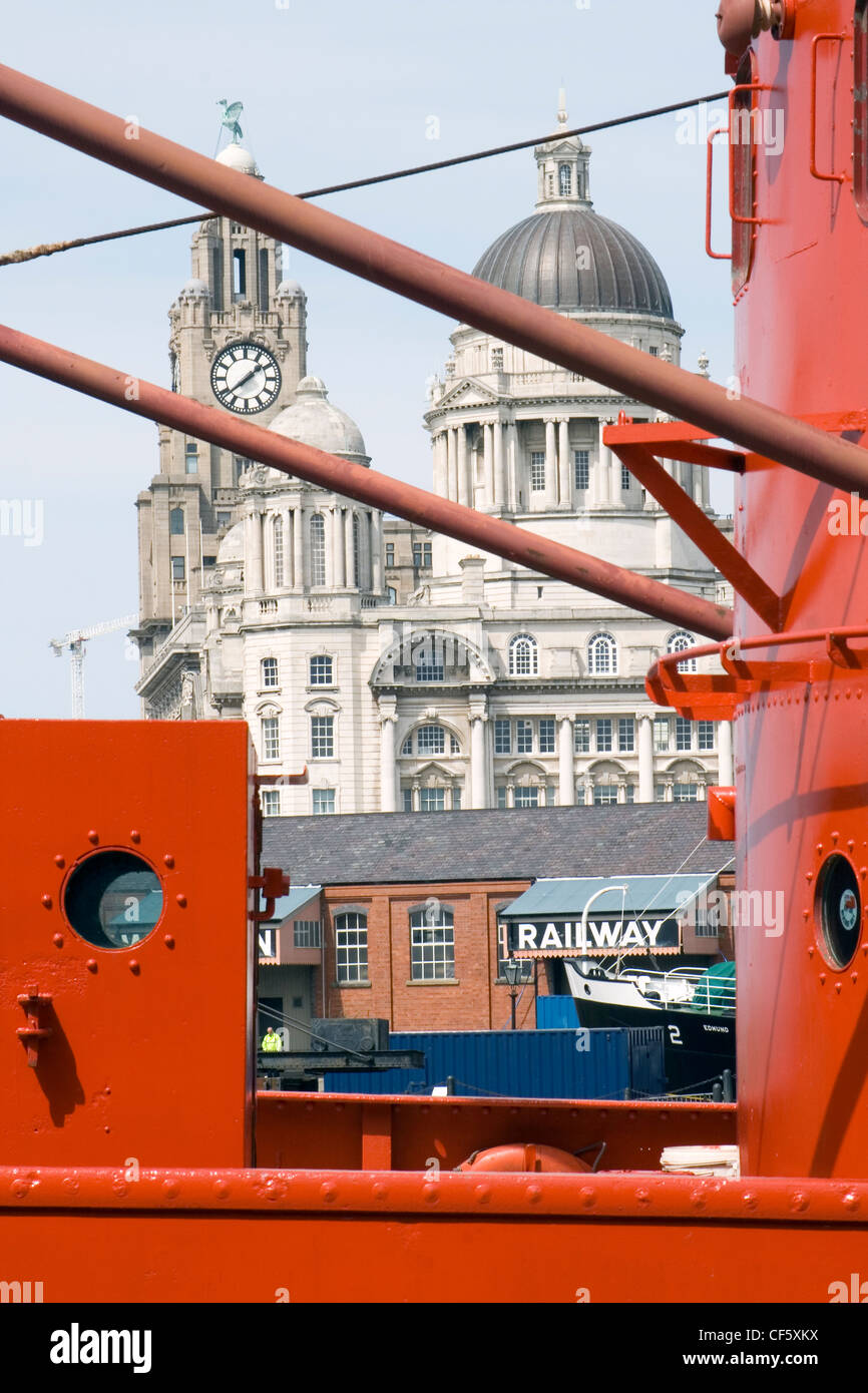 Long liver hi-res stock photography and images - Alamy