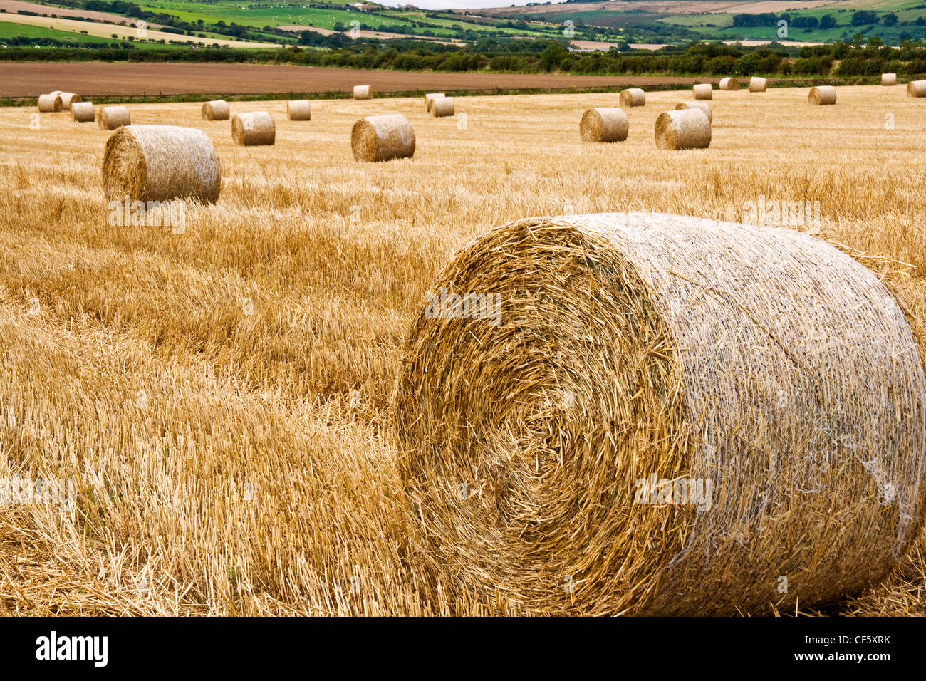 Hay stooks hi-res stock photography and images - Alamy