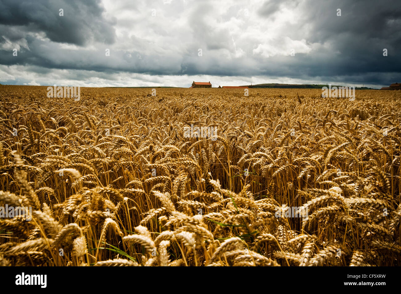 Storm clouds gathering hi-res stock photography and images - Alamy