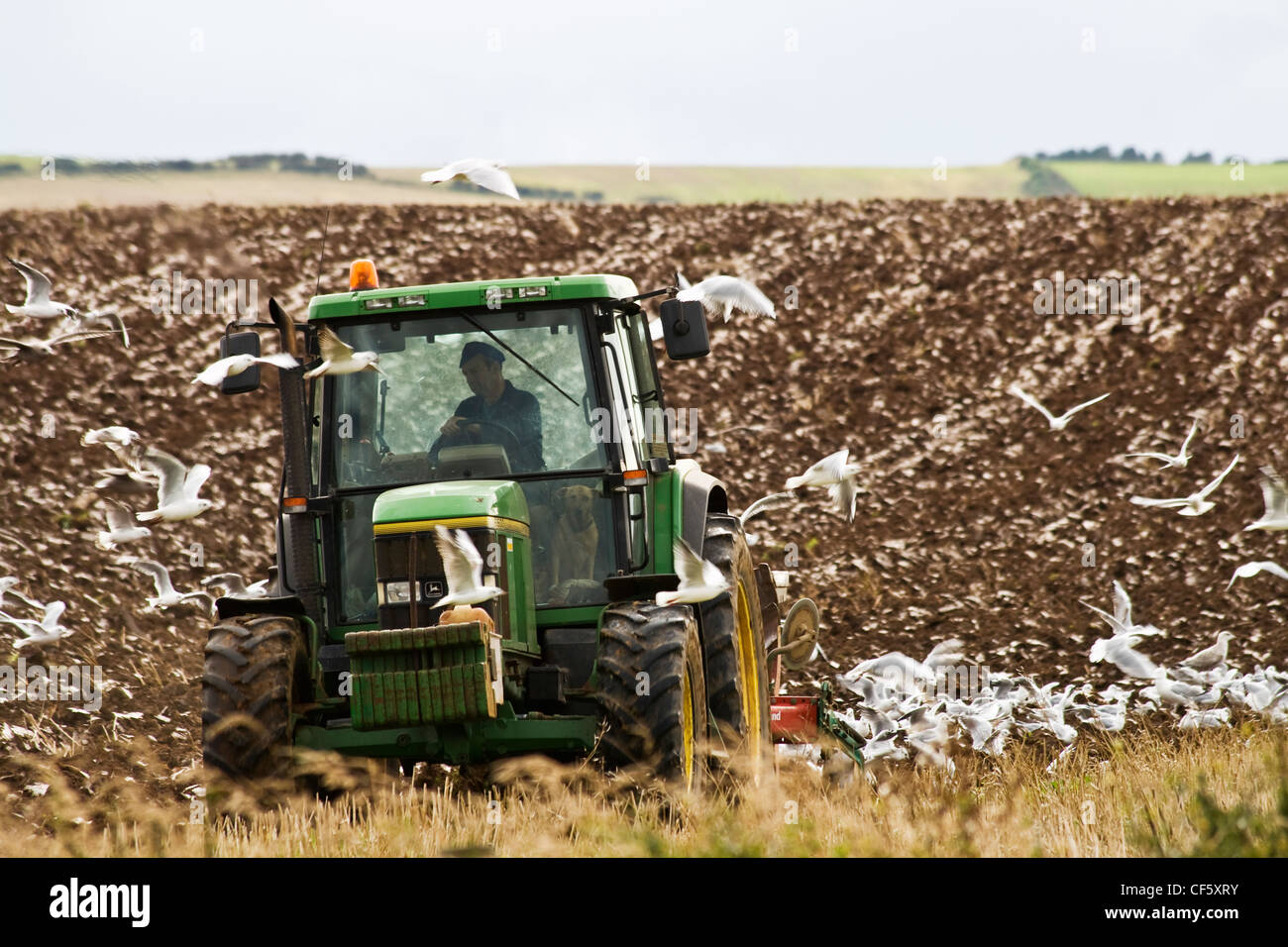 Farmer ploughing field hi-res stock photography and images - Alamy