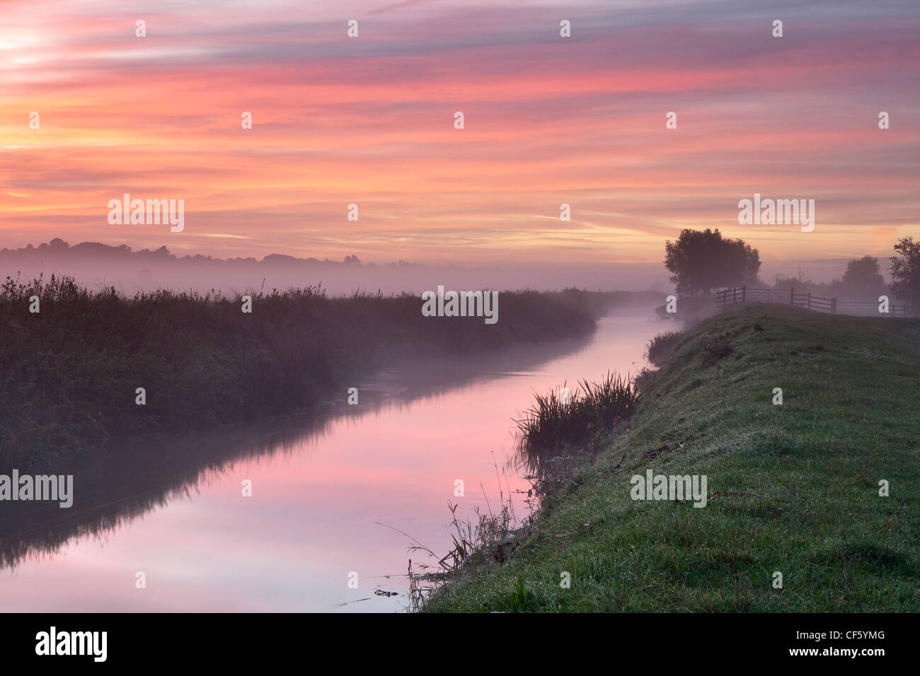 The river brue hi-res stock photography and images - Alamy