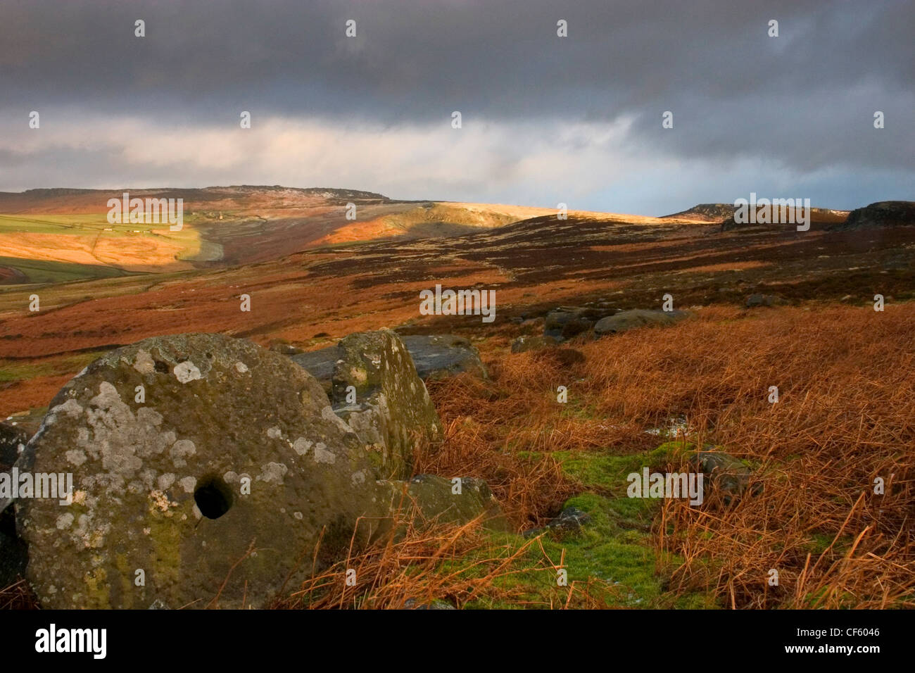 Littlemoor hi-res stock photography and images - Alamy