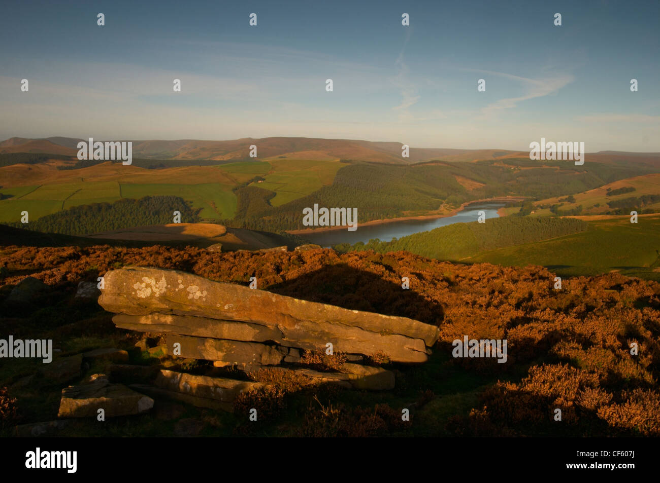 Steve edge hi-res stock photography and images - Alamy