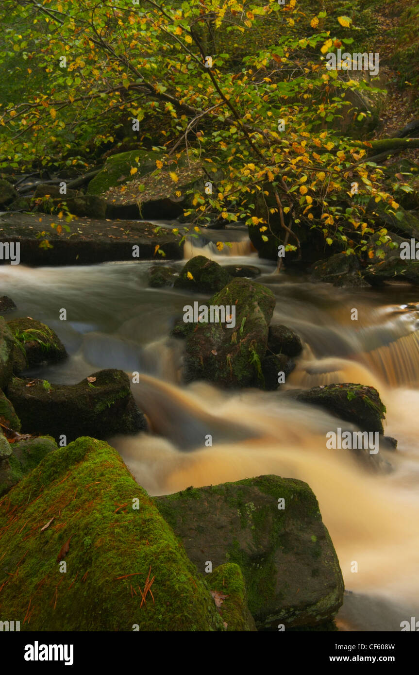 A view of Burbage Brook Stock Photo - Alamy