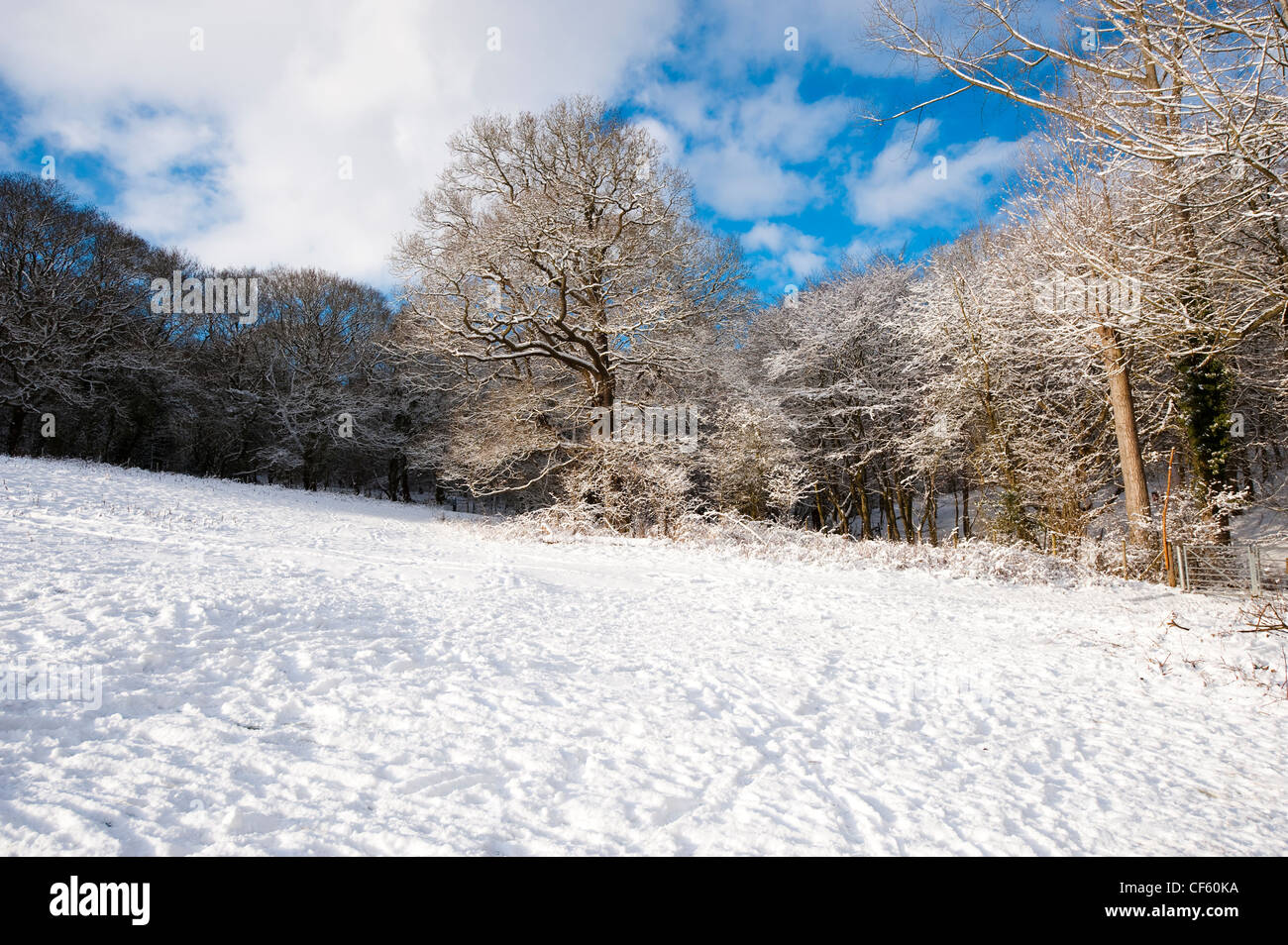 Snow scenes in country hi-res stock photography and images - Alamy