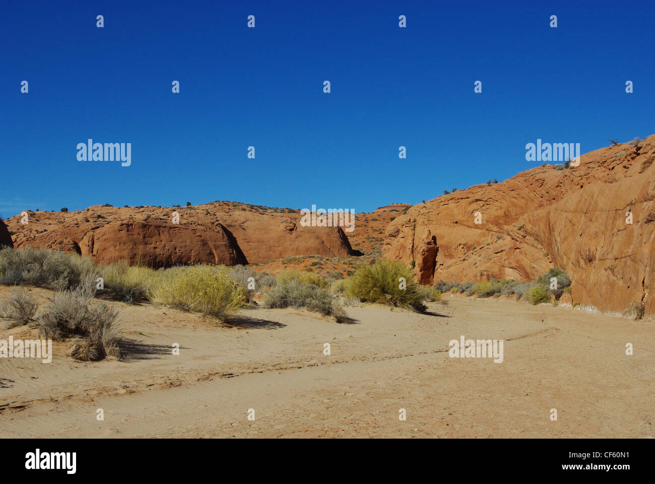 Red and green canyon hi-res stock photography and images - Alamy