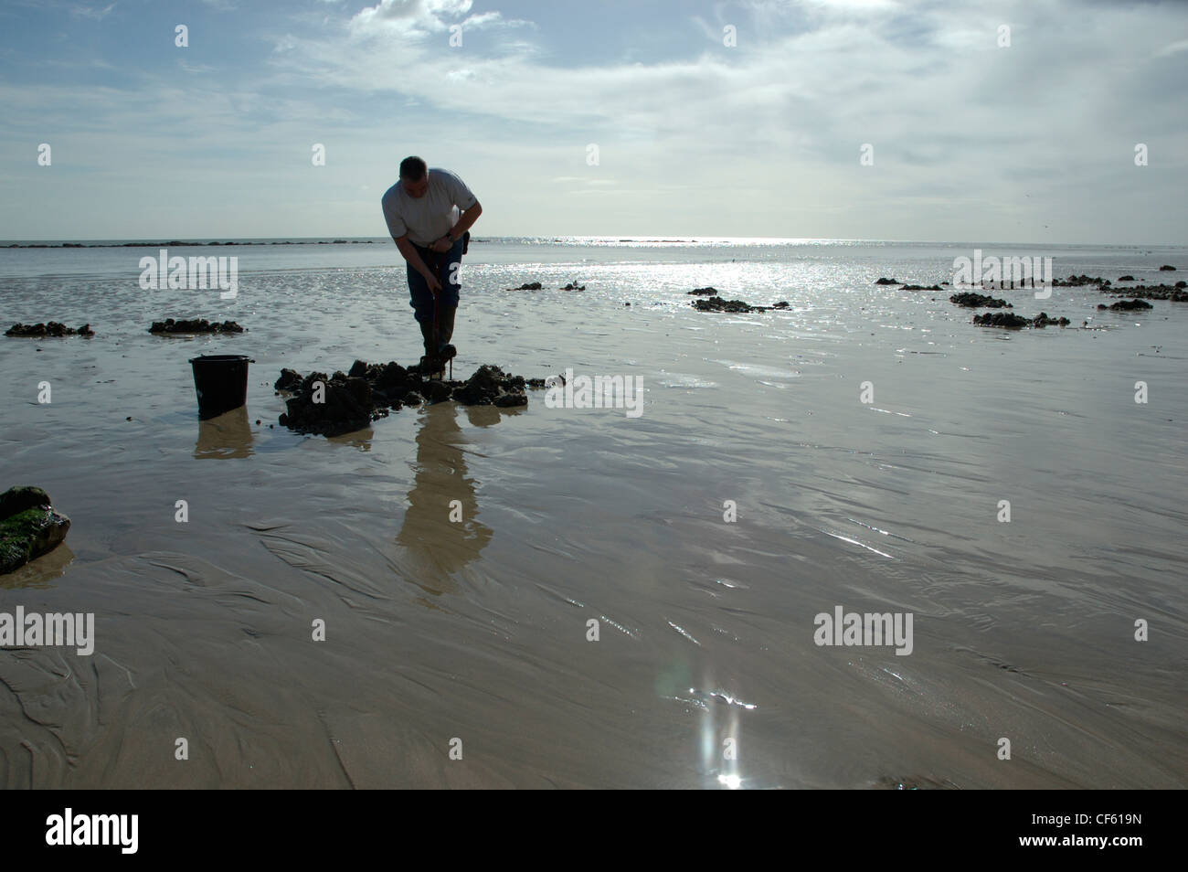 A man digs for fishing bait on the beach Stock Photo - Alamy