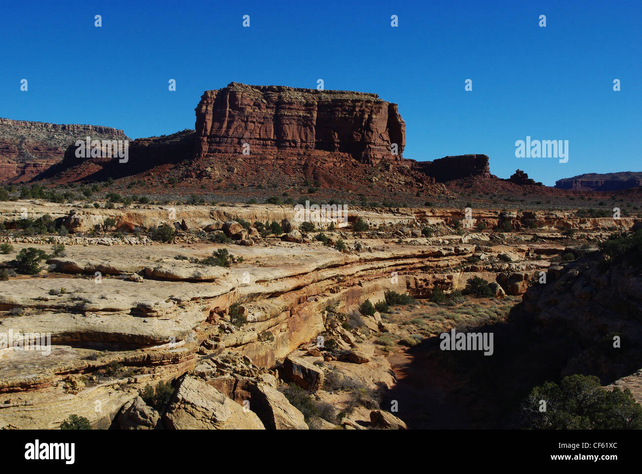 Dry river bed, white canyon and red rocks, Utah Stock Photo - Alamy