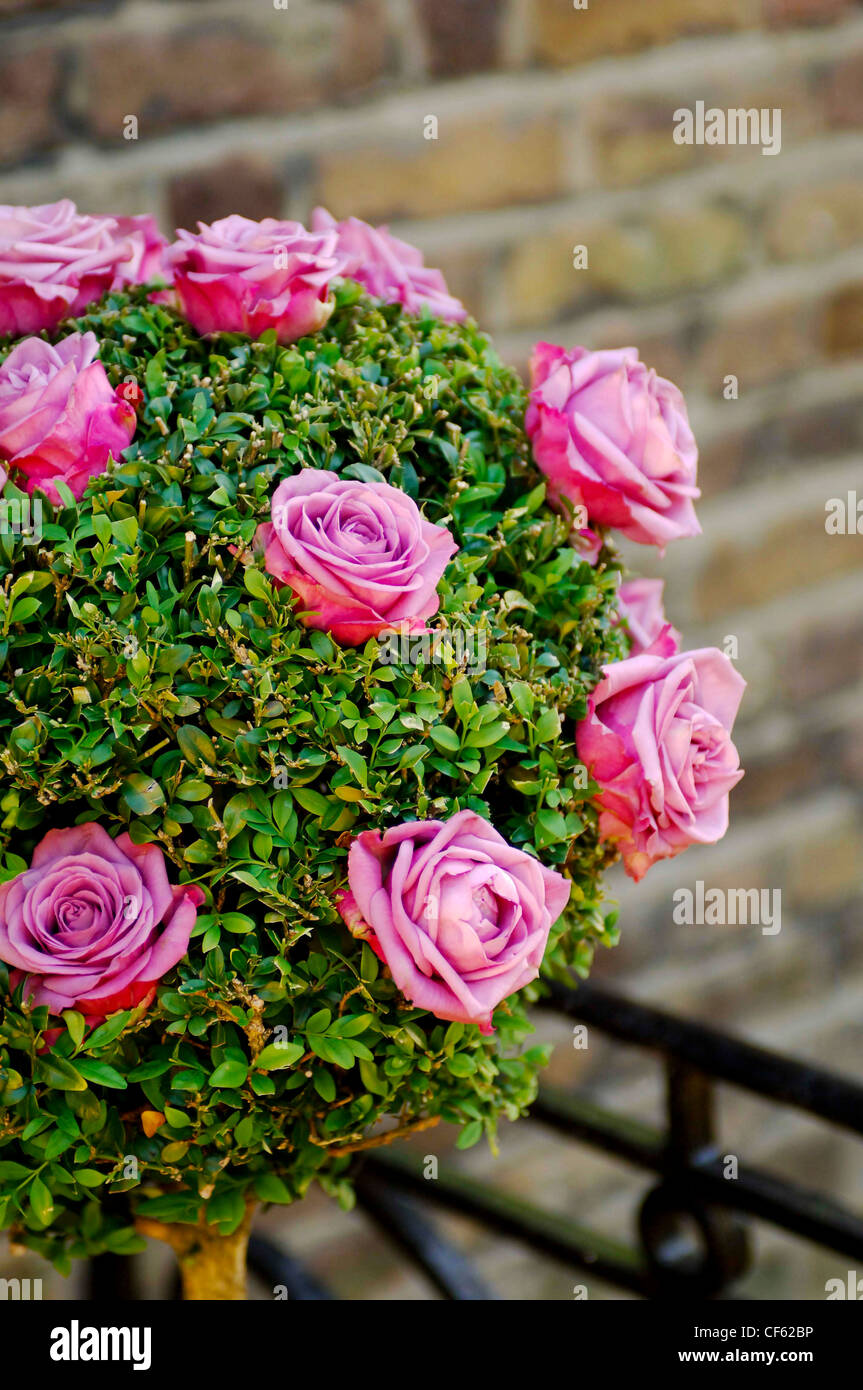 Stonehouse photographic hi-res stock photography and images - Alamy