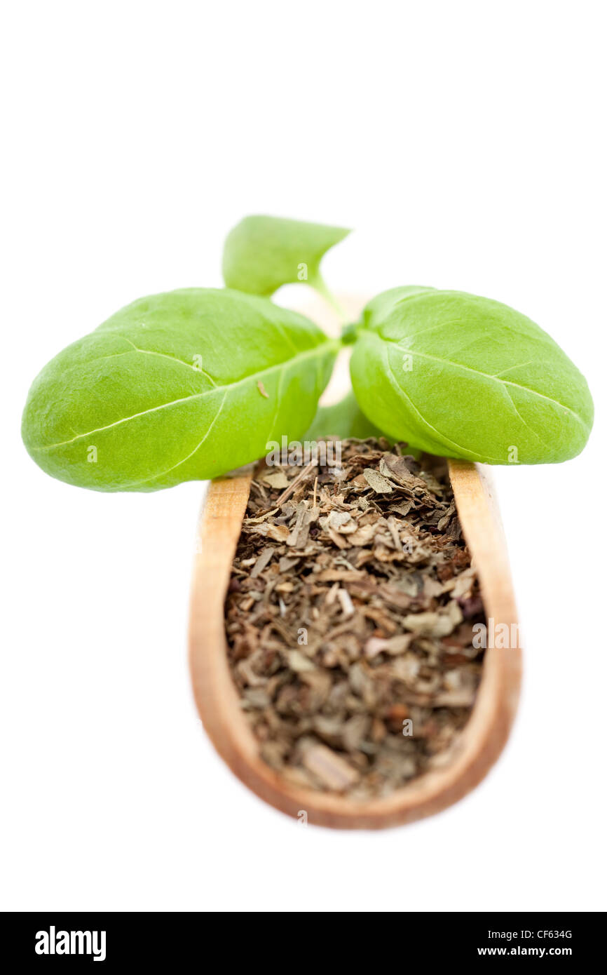 Green leaf spoon on Cut Out Stock Images & Pictures - Alamy