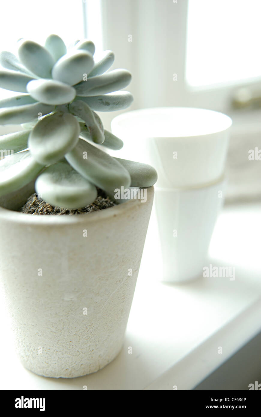 Boutique style house in Brighton, United Kingdom Stock Photo - Alamy