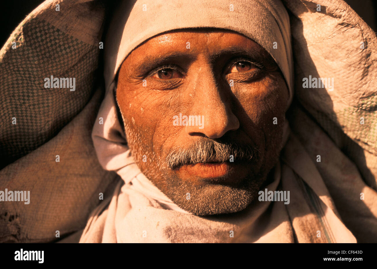 Worker loading and unloading sacks of gypsum in trains ( India Stock ...