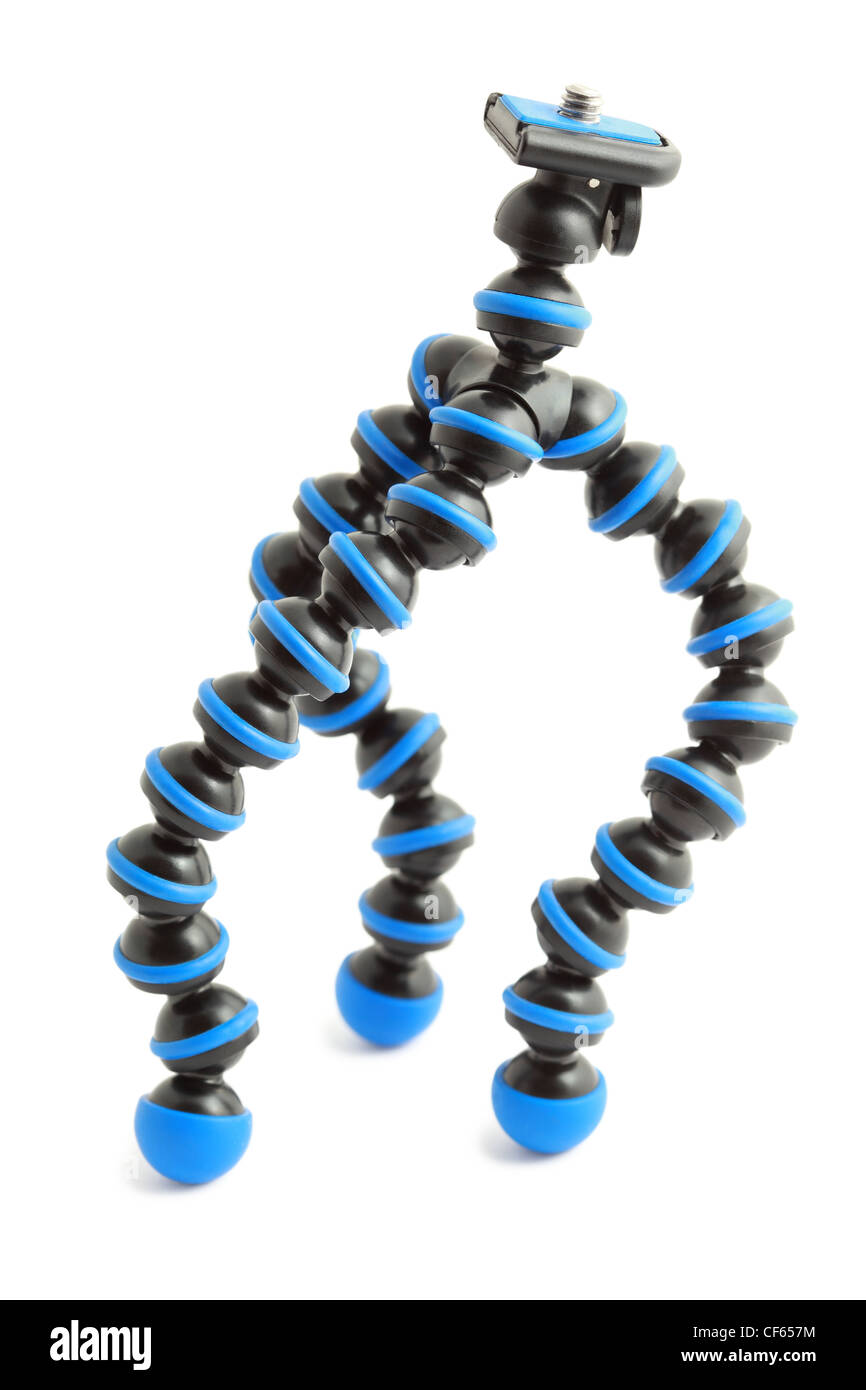 Close up blue legs Cut Out Stock Images & Pictures - Alamy