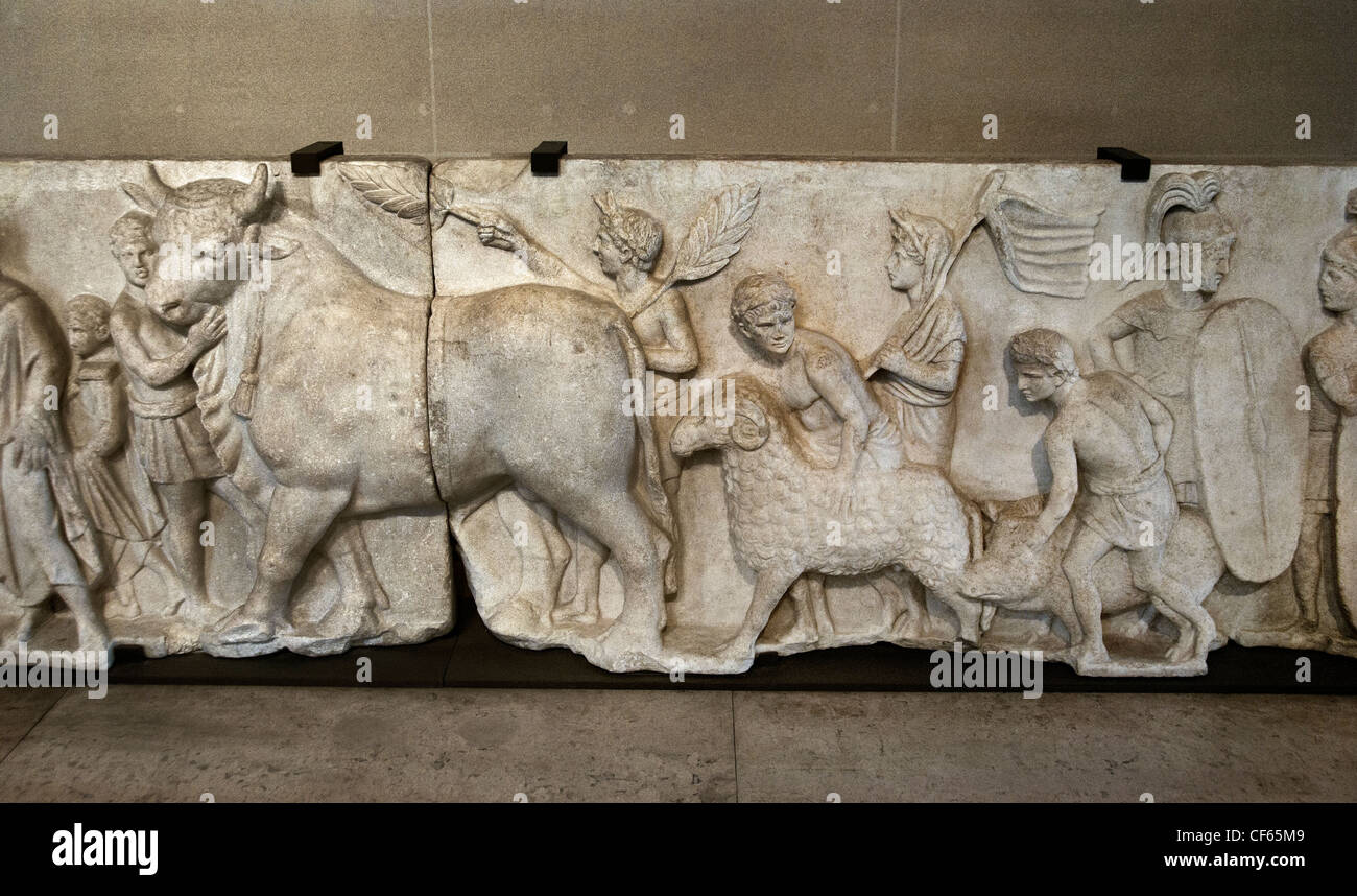 Ahenobarbus hi-res stock photography and images - Alamy