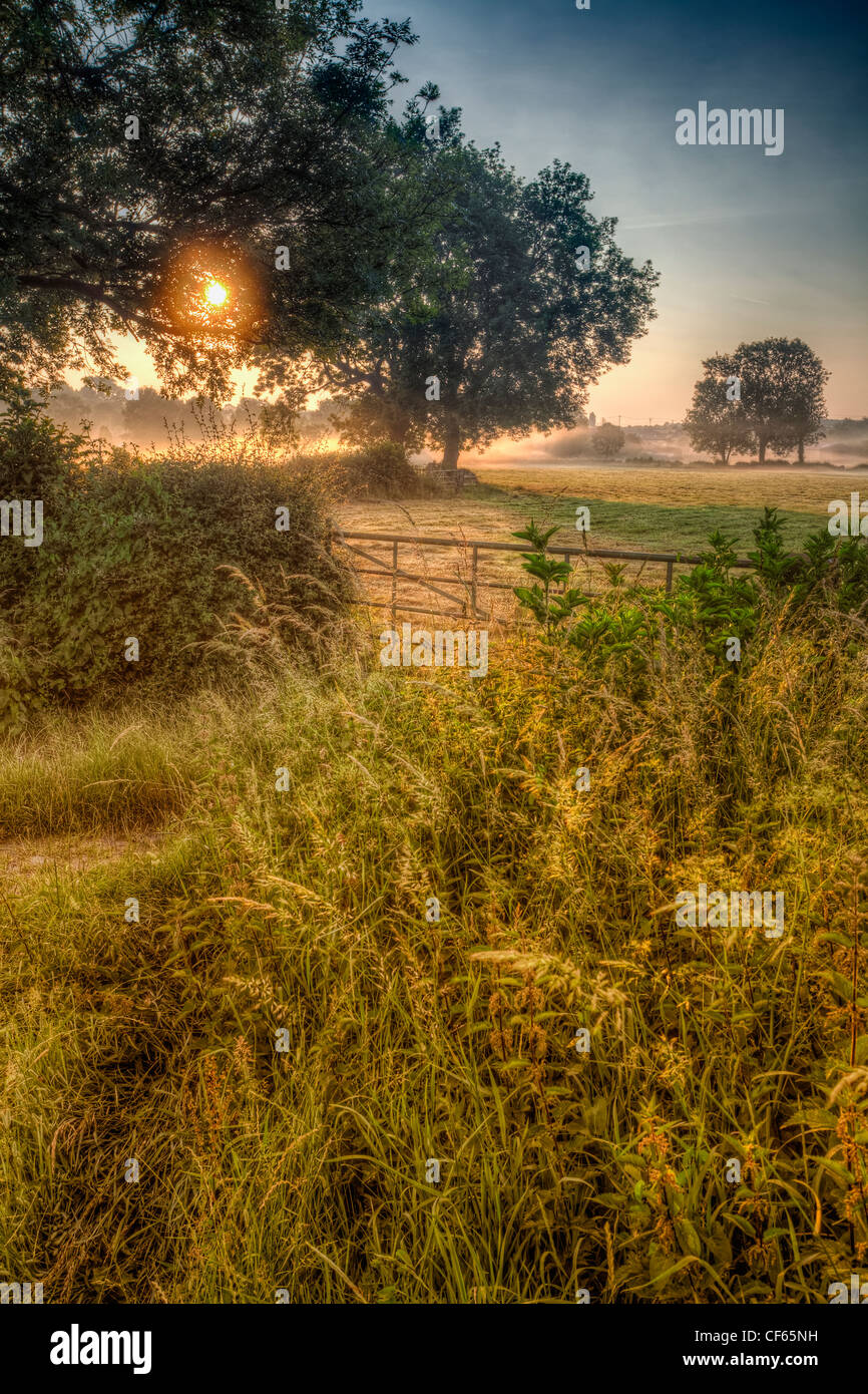 Sunrise over fields viewed through trees Stock Photo - Alamy