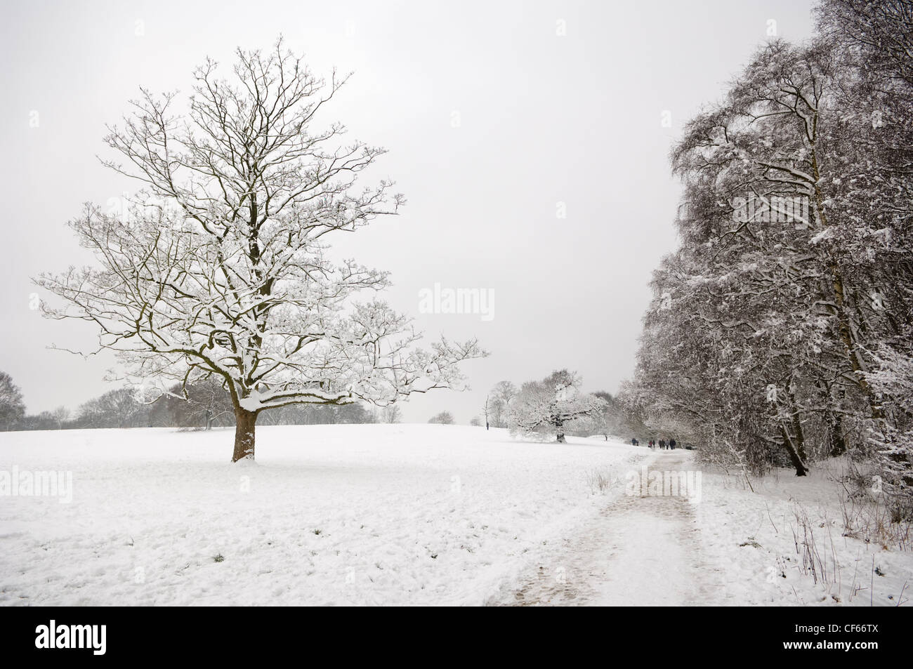 People making their way a long a snow covered path in extreme winter ...