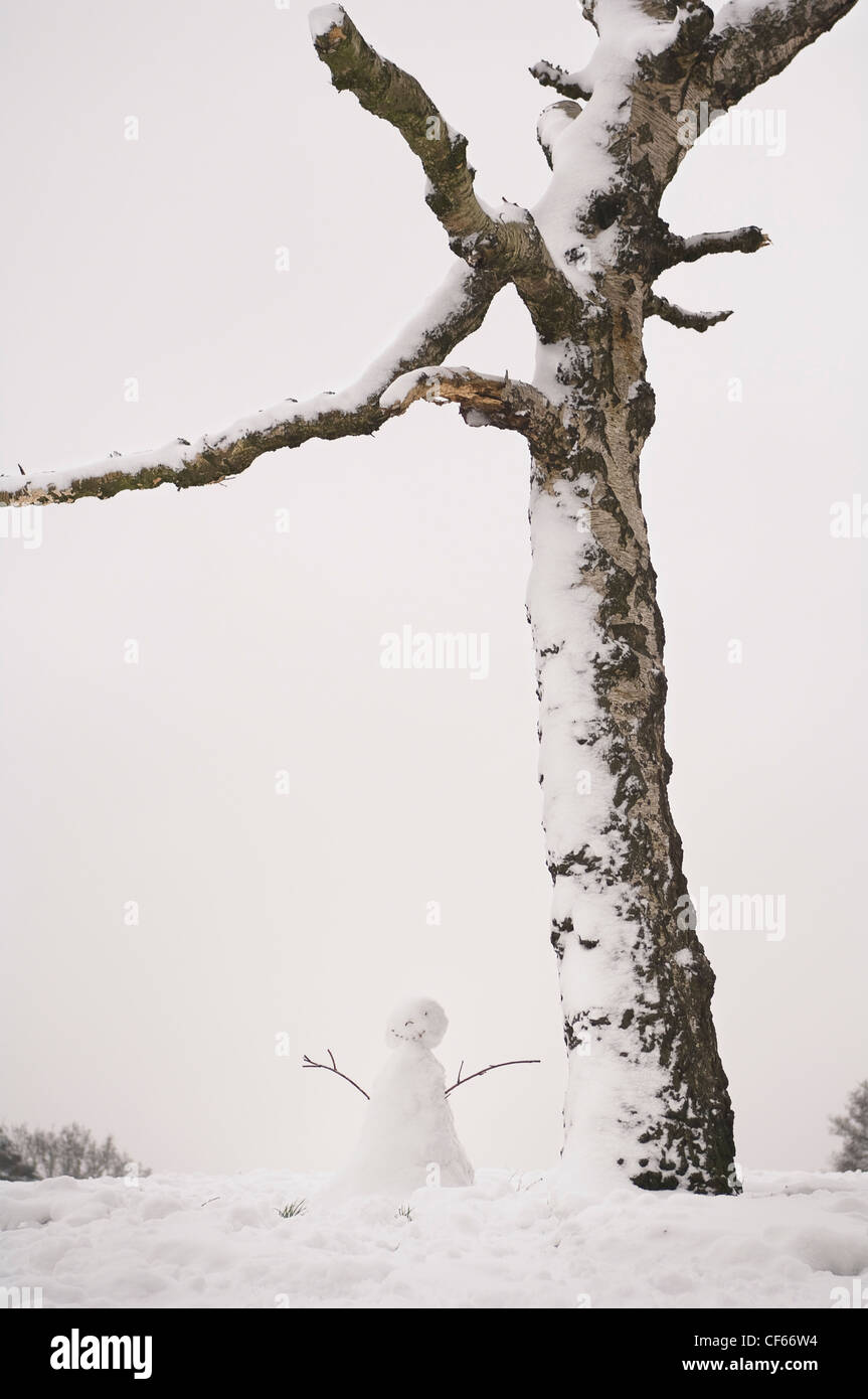 Snowman tree uk hi-res stock photography and images - Alamy