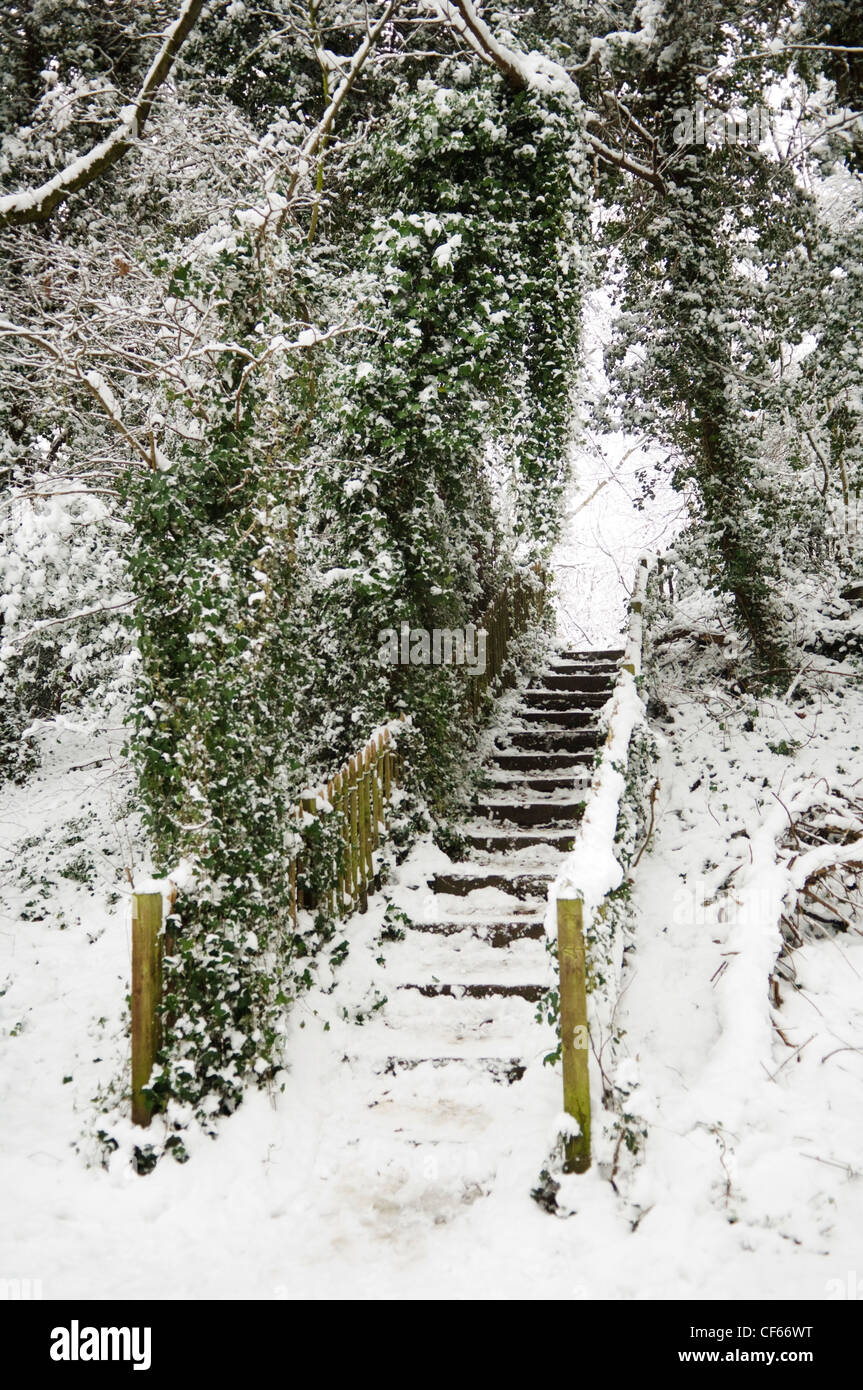 Covered Steps Stock Photos & Covered Steps Stock Images - Alamy