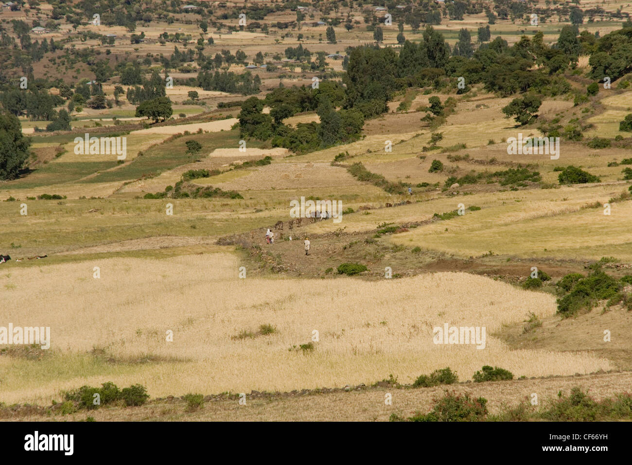 Countryside and farmers from the site of the tombs of King Kaleb and ...