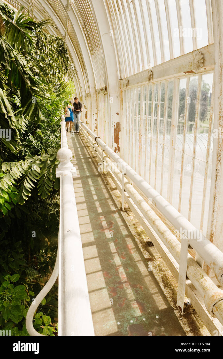 Interior of the Palm House, the most important surviving Victorian iron ...