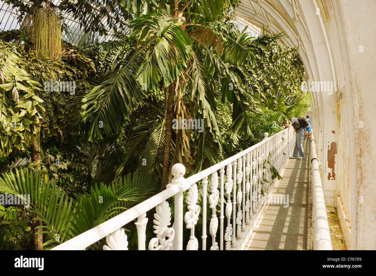 Interior of the Palm House, the most important surviving Victorian iron ...