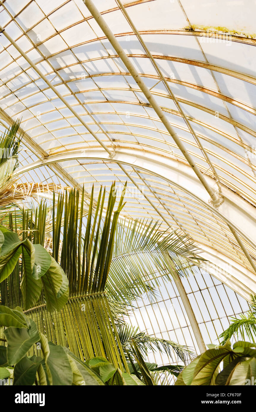 Victorian glass structure hi-res stock photography and images - Alamy