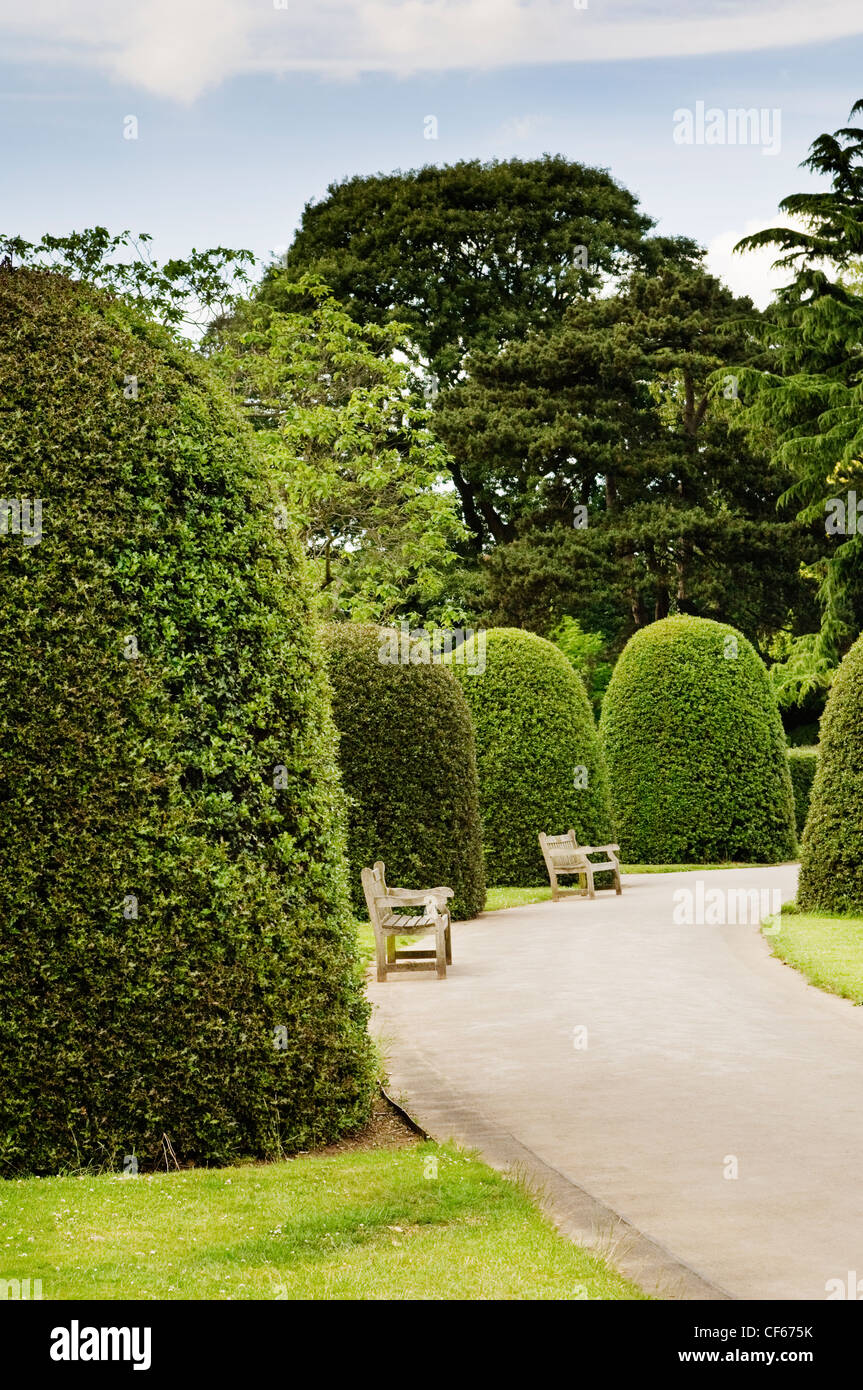 Neatly trimmed bushes hi-res stock photography and images - Alamy