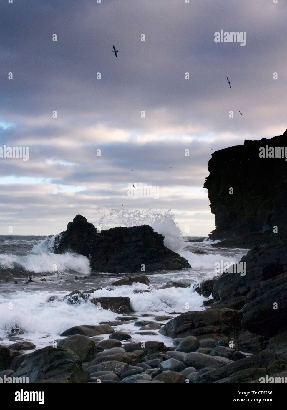 Grutness hi-res stock photography and images - Alamy