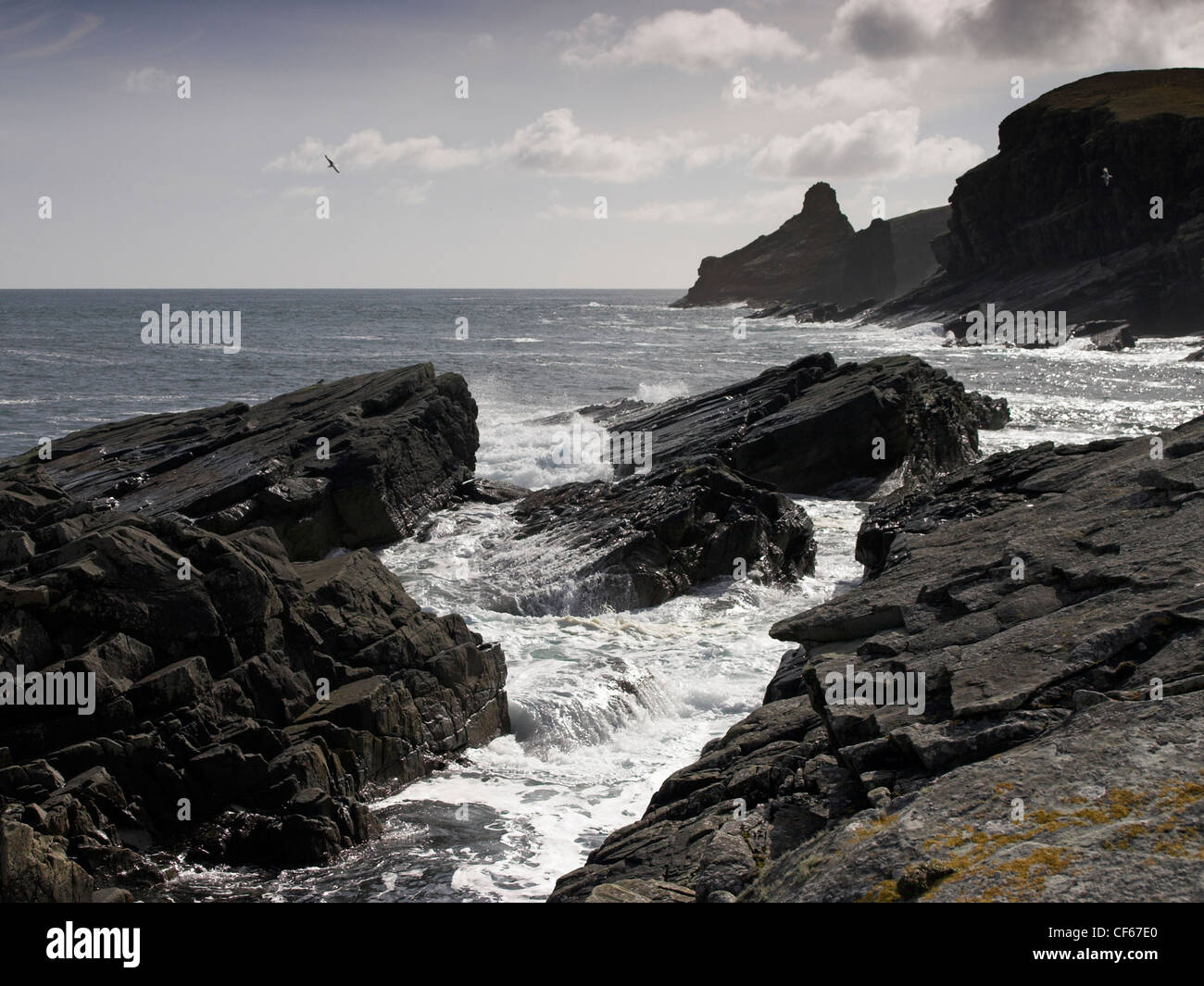 Cliffs at Isle of Bressay on Shetland Stock Photo - Alamy