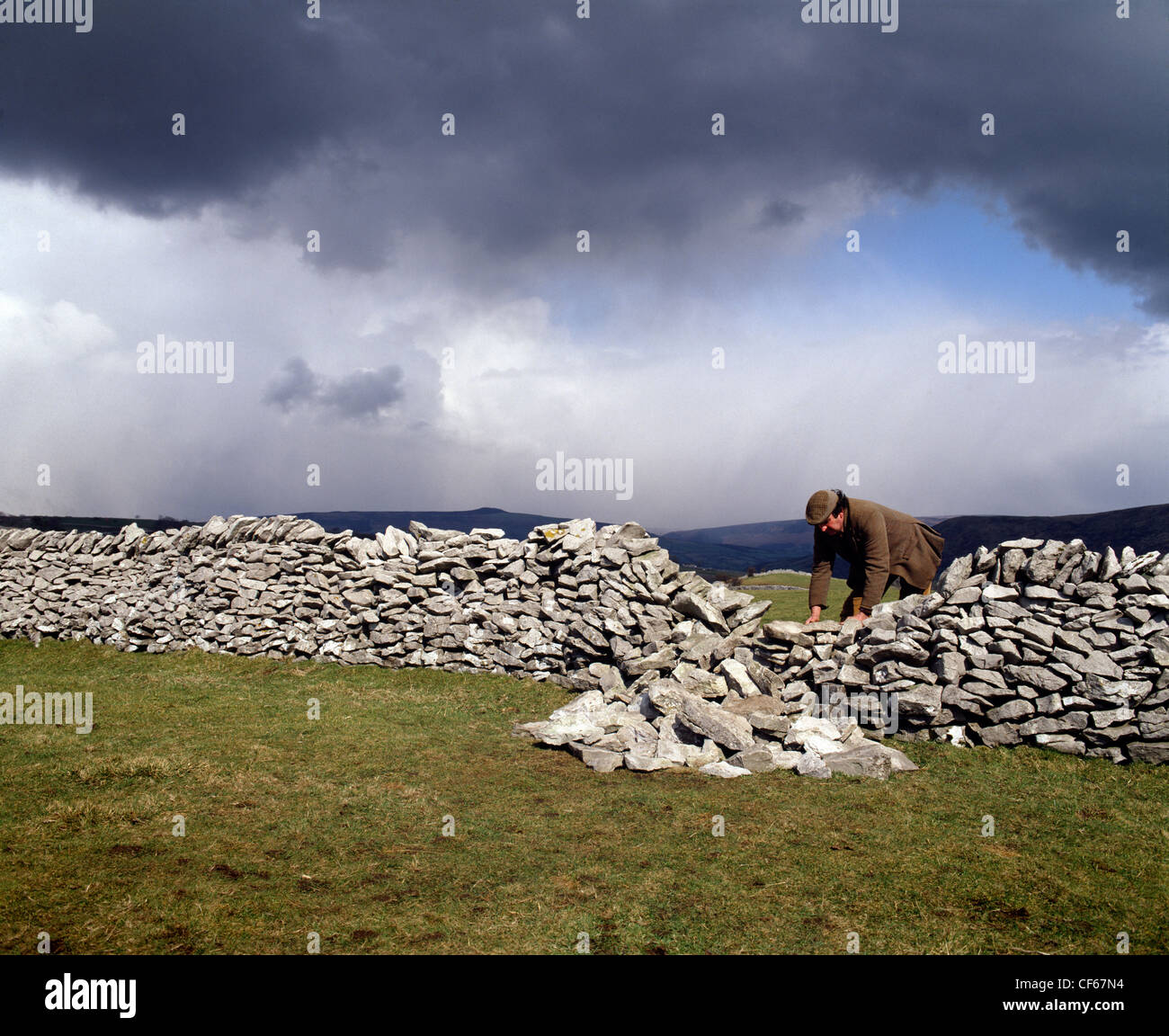 Dry stone waller fixing wall. Dry stone is a method to construct ...