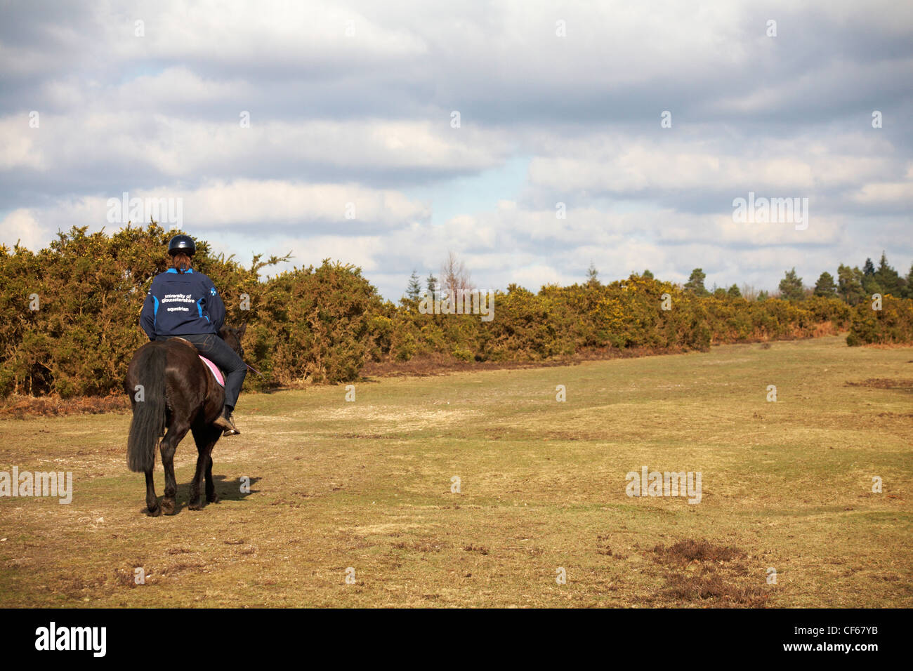 Back view horse riding uk hi-res stock photography and images - Alamy