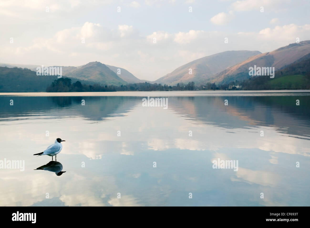 A view over Grasmere lake. The lake lies to the south of Grasmere ...