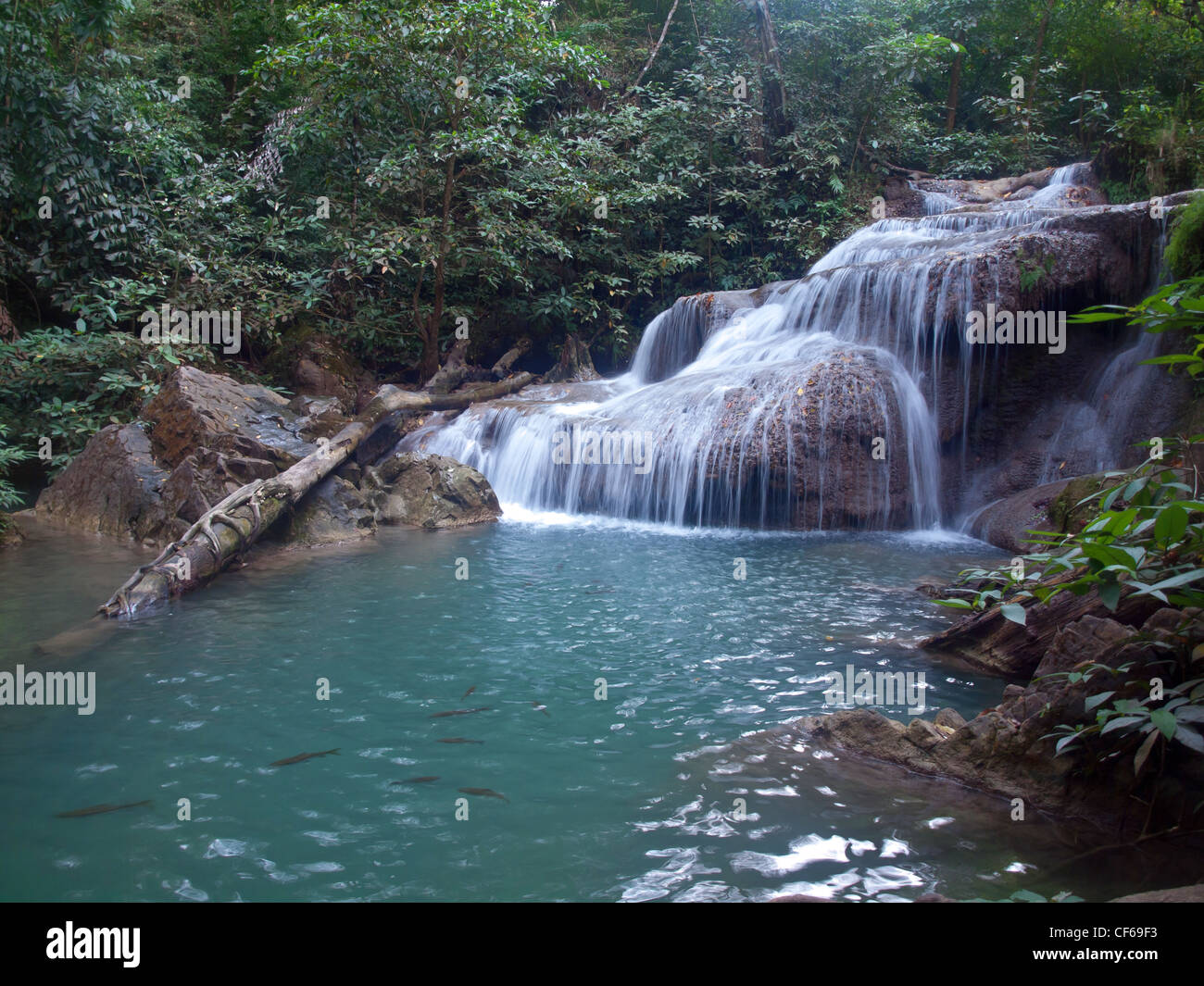 Erawan waterfall with emerald color water Stock Photo - Alamy