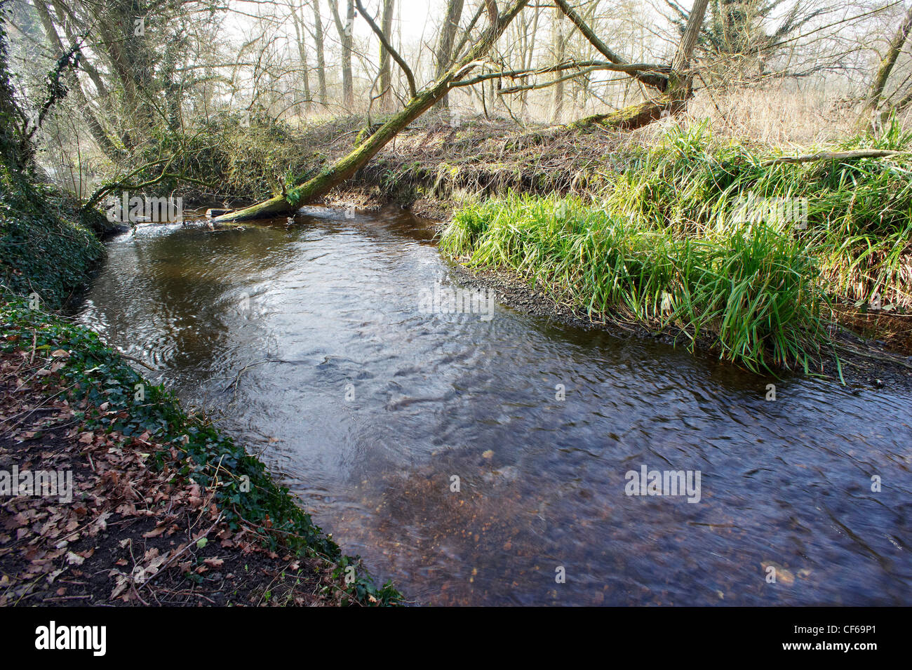 Darenth valley hi-res stock photography and images - Alamy