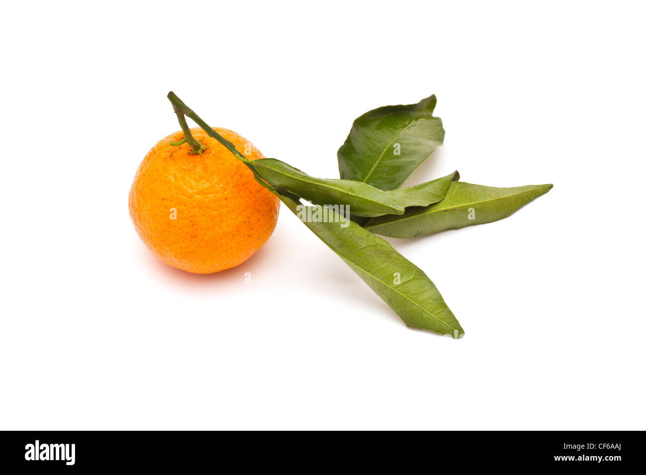 Fruit of tangerine Cut Out Stock Images & Pictures - Alamy