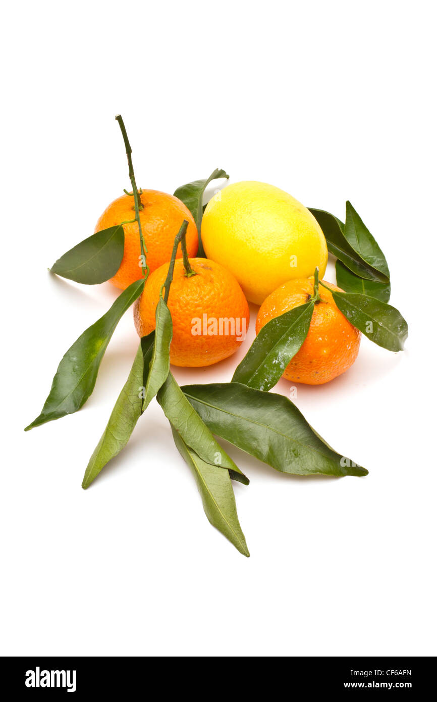Ripe citrus on white background Stock Photo - Alamy