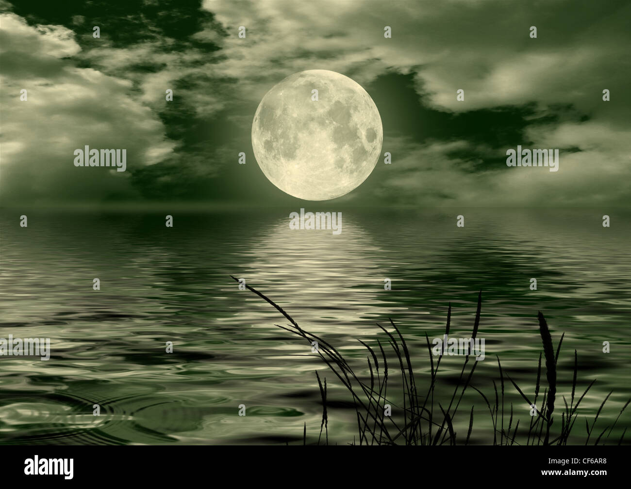 Moon Over Water Large Wallpaper