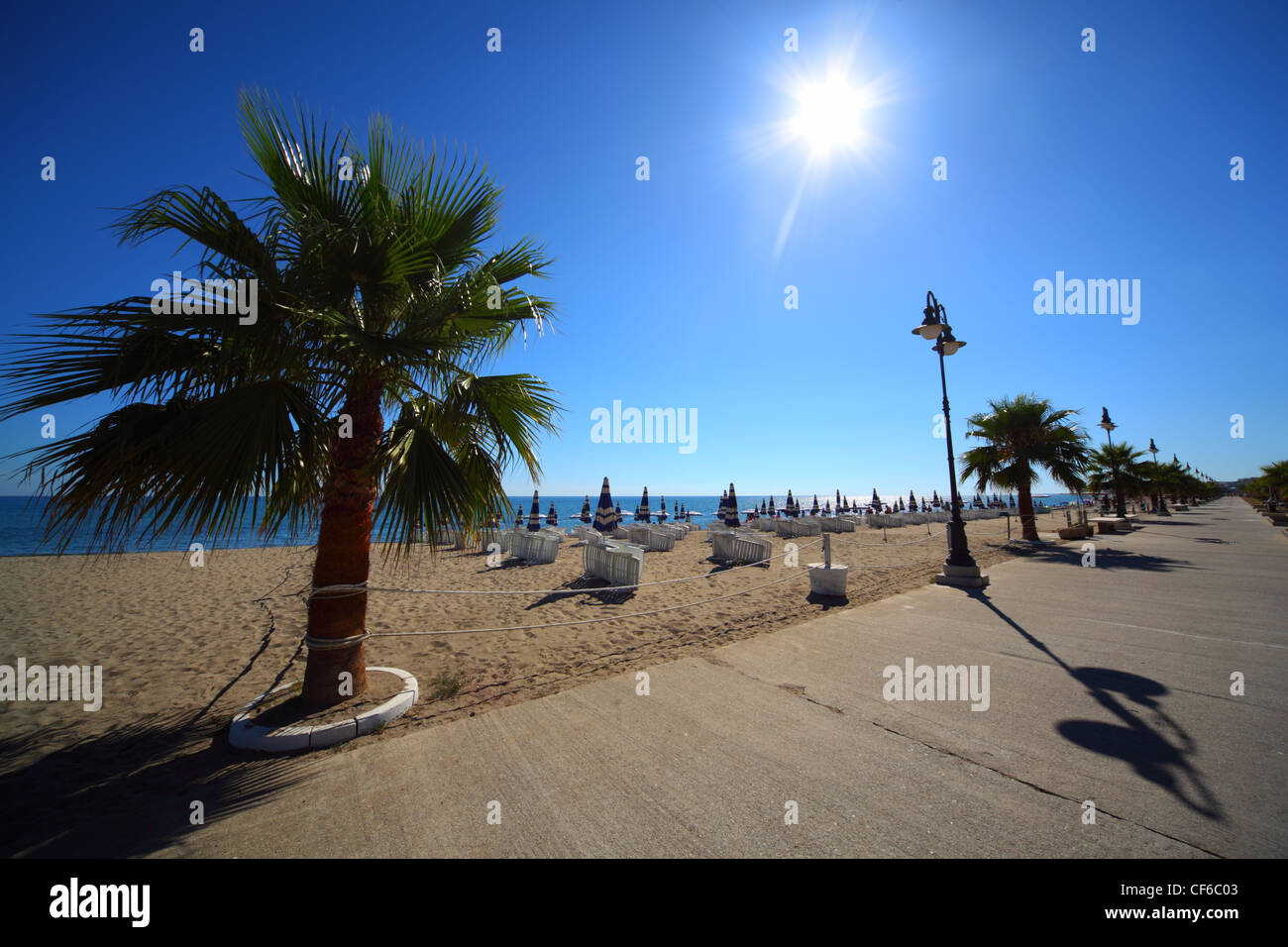 Concrete path with palms on sandy beach with folded umbrellas and ...