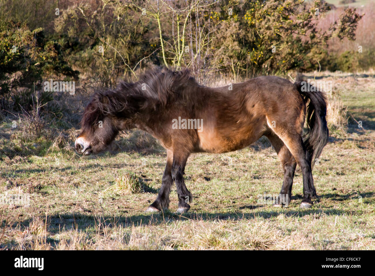 Shaking movement hi-res stock photography and images - Alamy