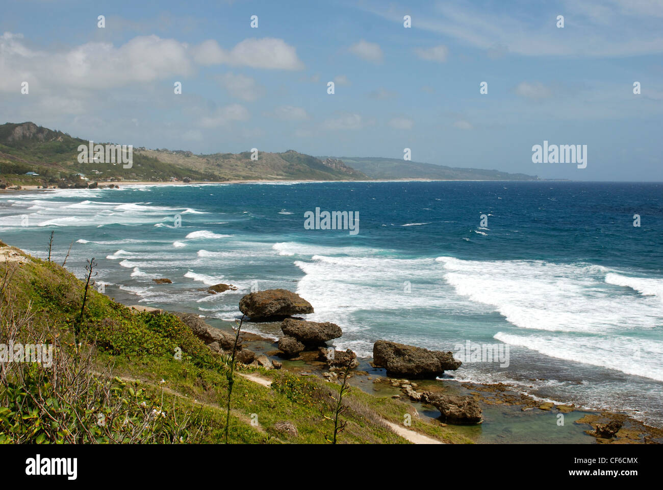 a beautiful bay in barbados Stock Photo - Alamy