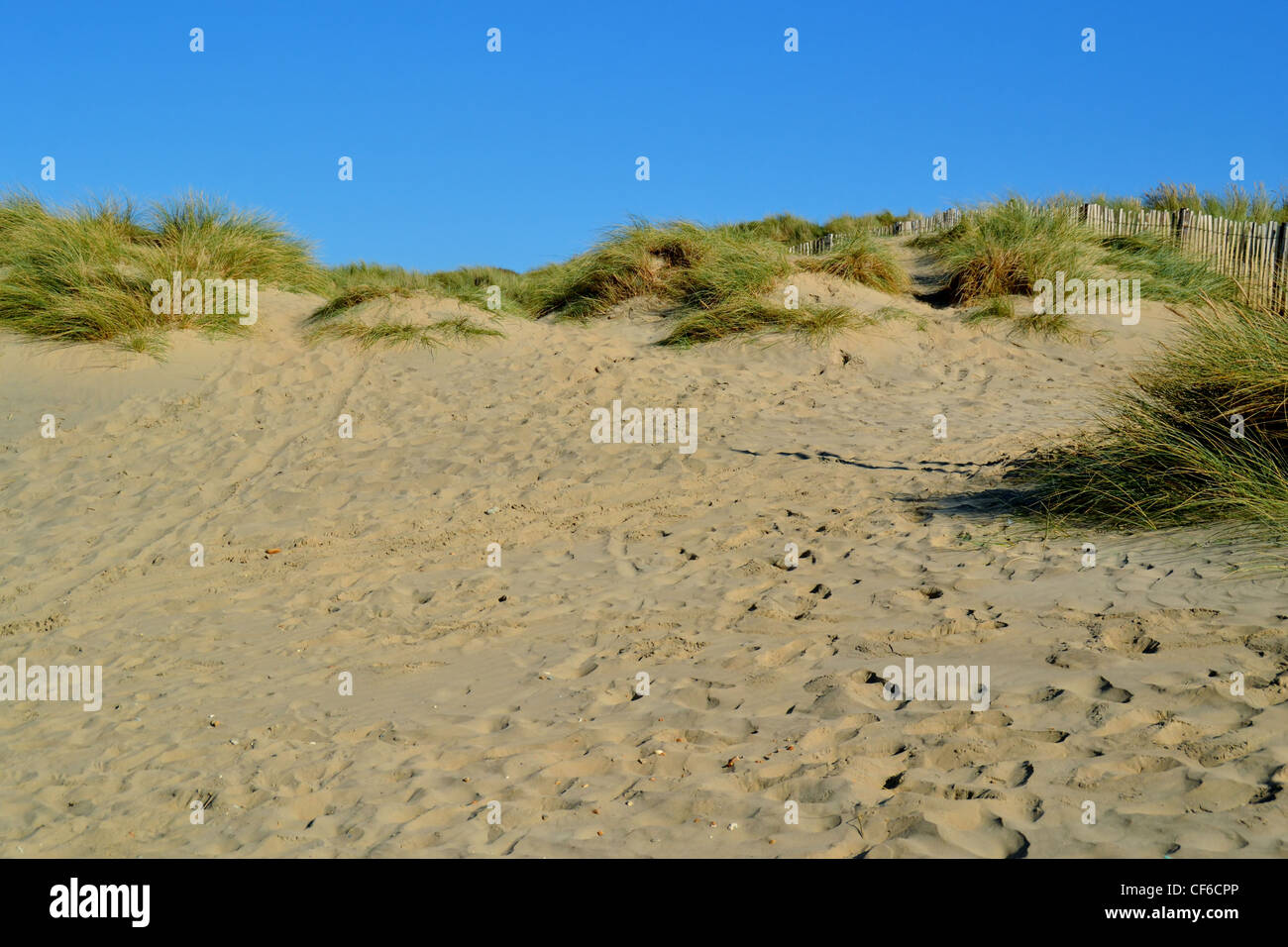 Camber sands beach sea grass hi-res stock photography and images - Alamy
