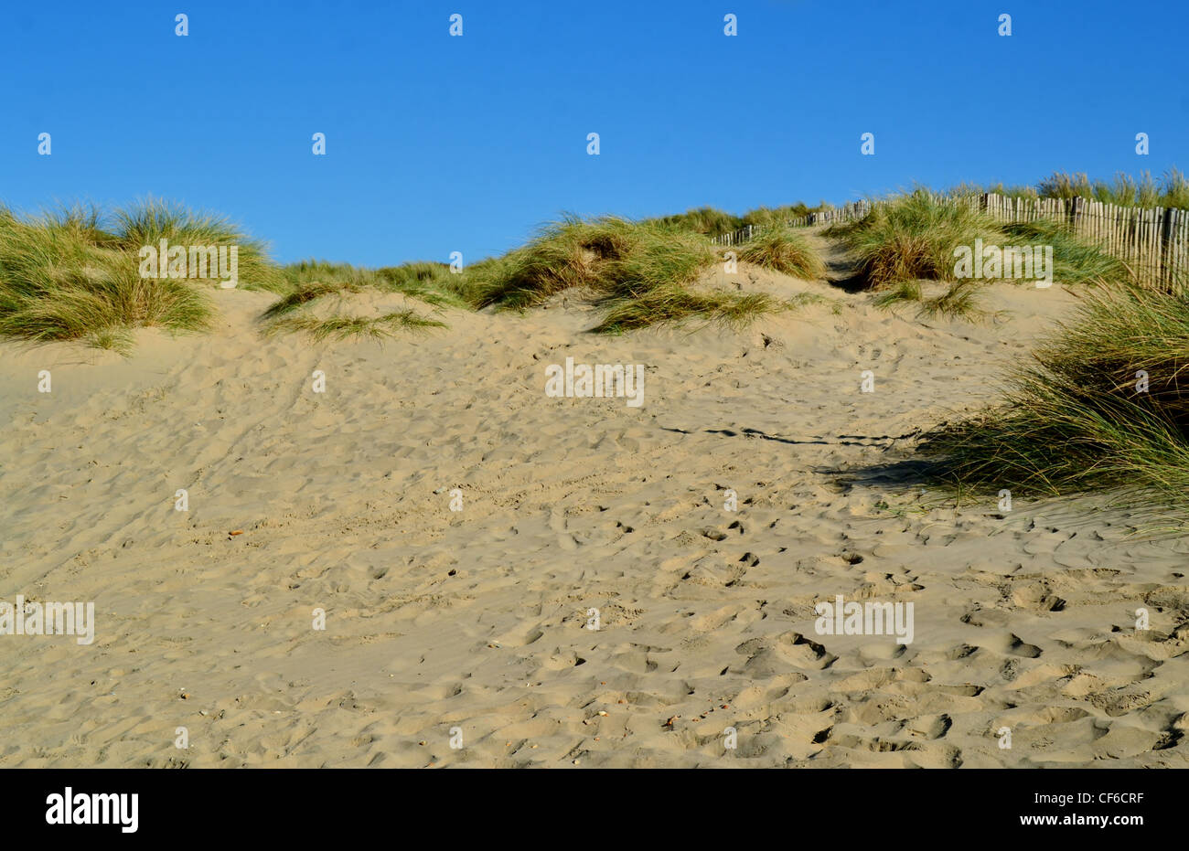 Sun and sands hi-res stock photography and images - Alamy