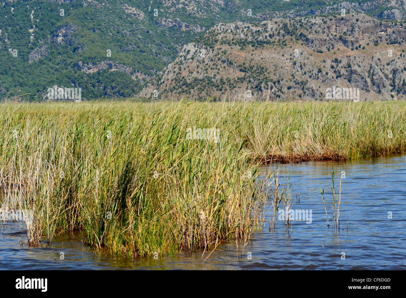 Dalaman river and turkey hi-res stock photography and images - Alamy
