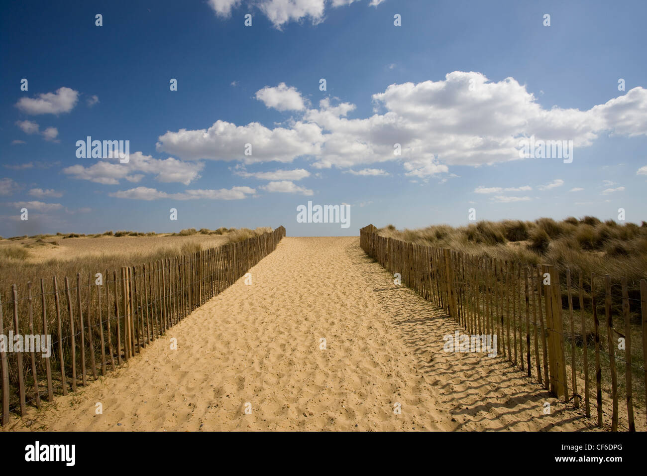 Sandy pathway across the sand dunes to Walberswick beach Stock Photo ...